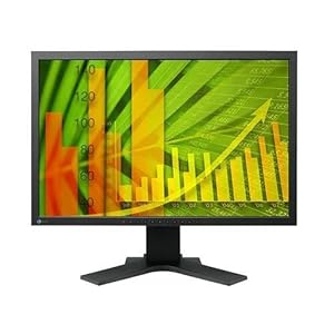 NANAO FlexScan 22インチ TFTモニタ 1900x1200 D-Sub15Pin DVI-D24Pin DisplayPort ...